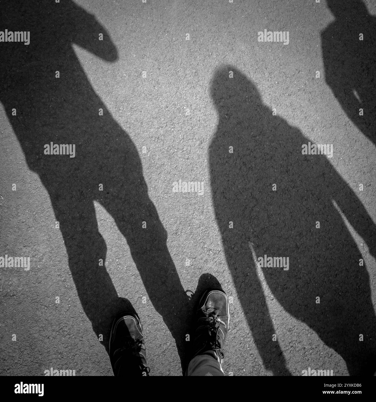 Human pathway Black and White Stock Photos & Images - Alamy