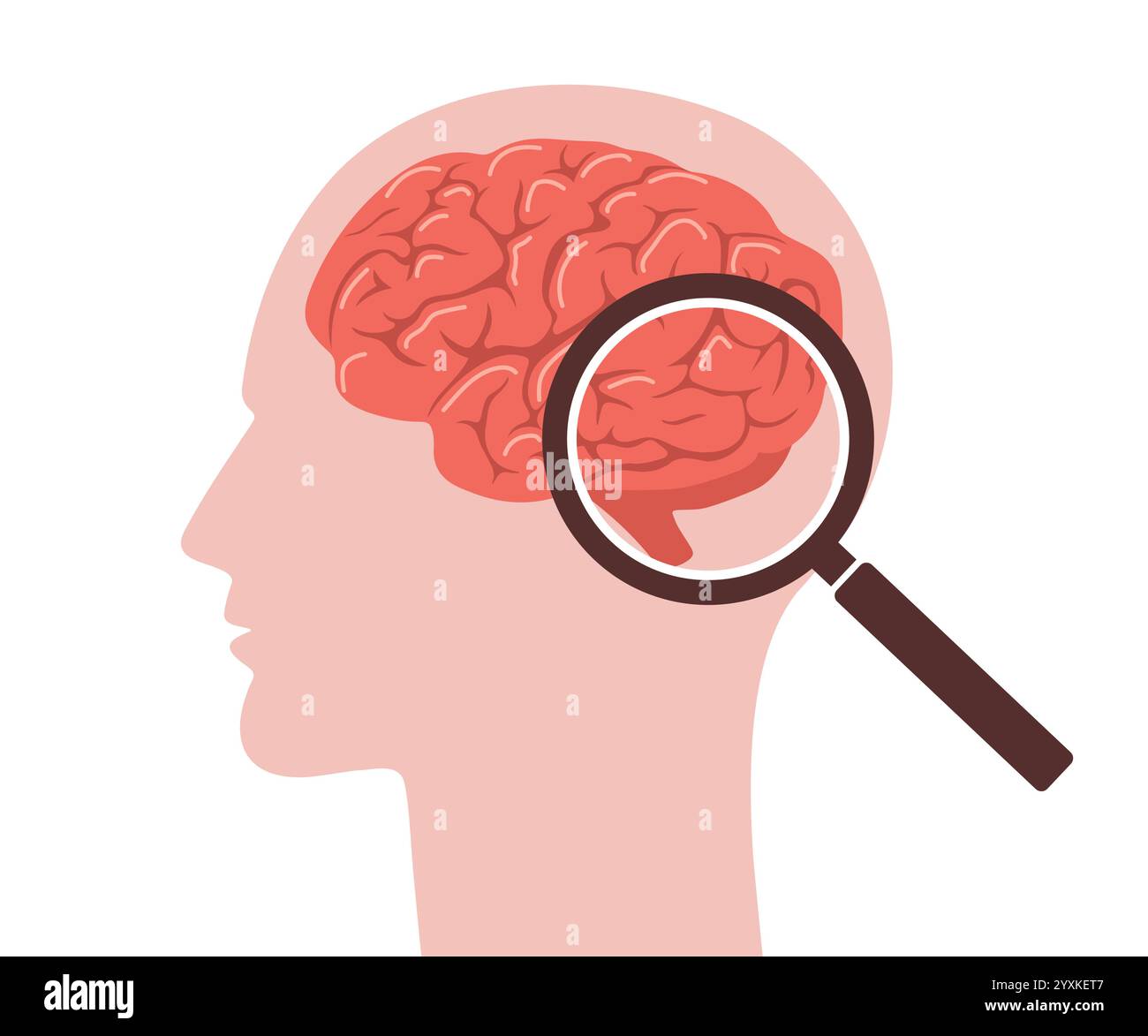 Brain anatomy. Human head with magnifier. Neurology disease diagnostics ...