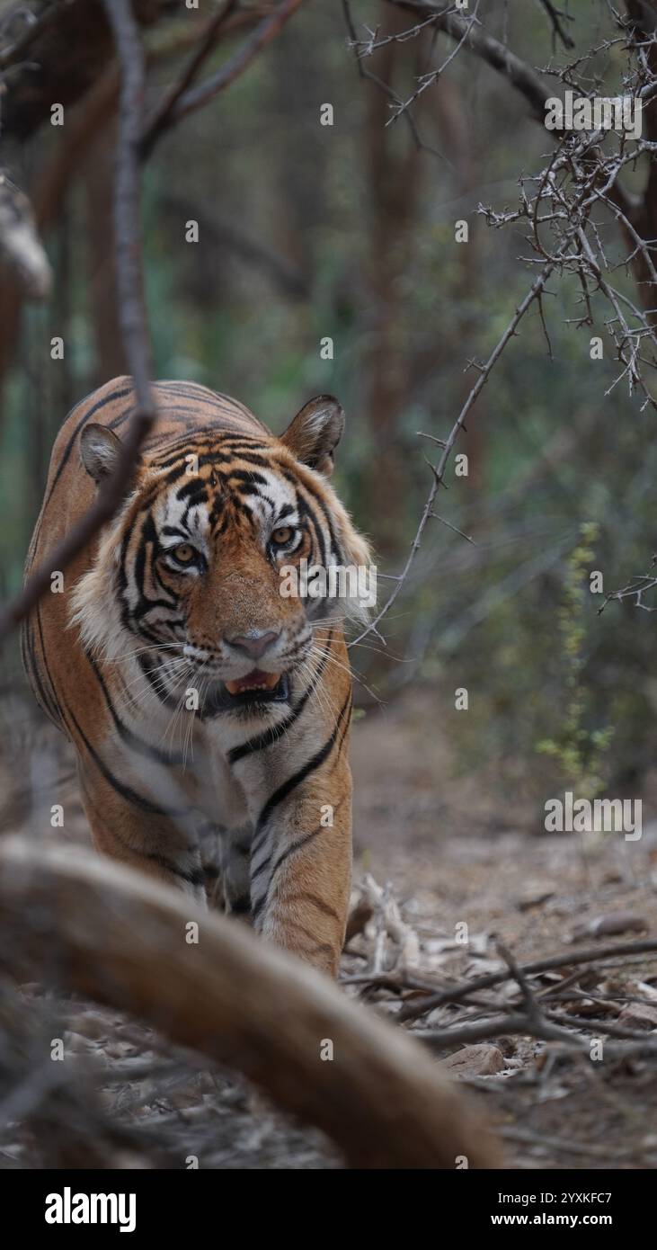 Sonnyalpha hi-res stock photography and images - Alamy