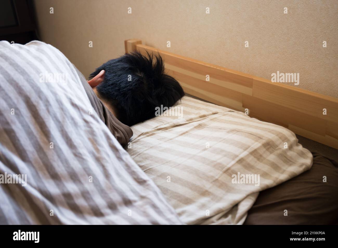 Futon japanese hi-res stock photography and images - Alamy