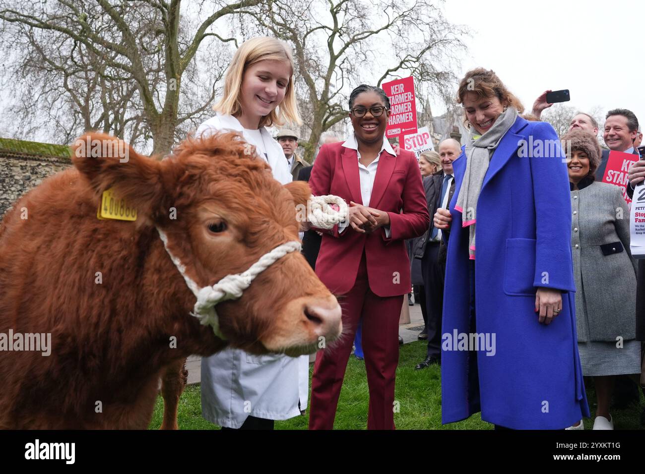 Conservative Party MPs gather at College Green in Westminster, London ...