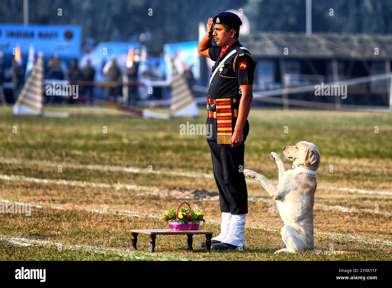 A Military Man and a Military Dog perform a Salute during an army ...