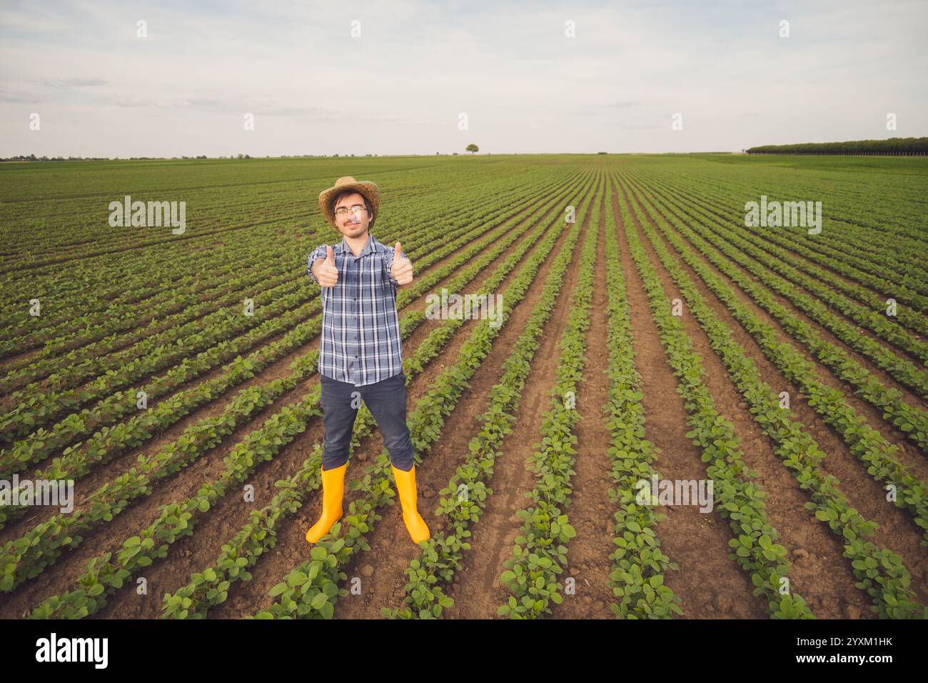 Portrait of happy farmer who is cultivating soybean. Successful farmer ...