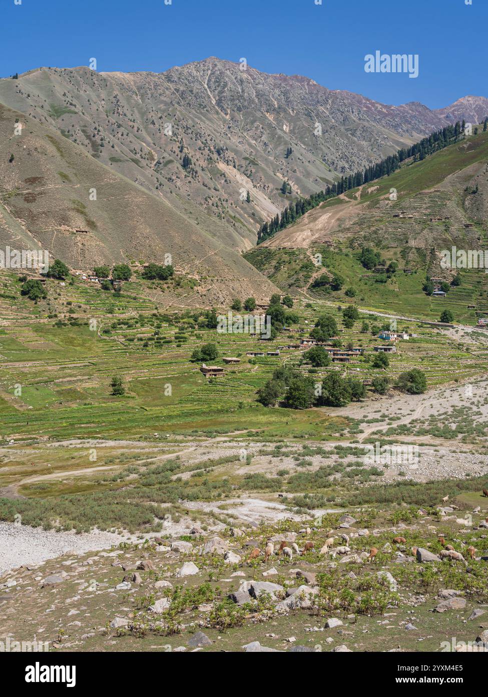 Vertical rural landscape view in beautiful Kaghan valley, Balakot ...