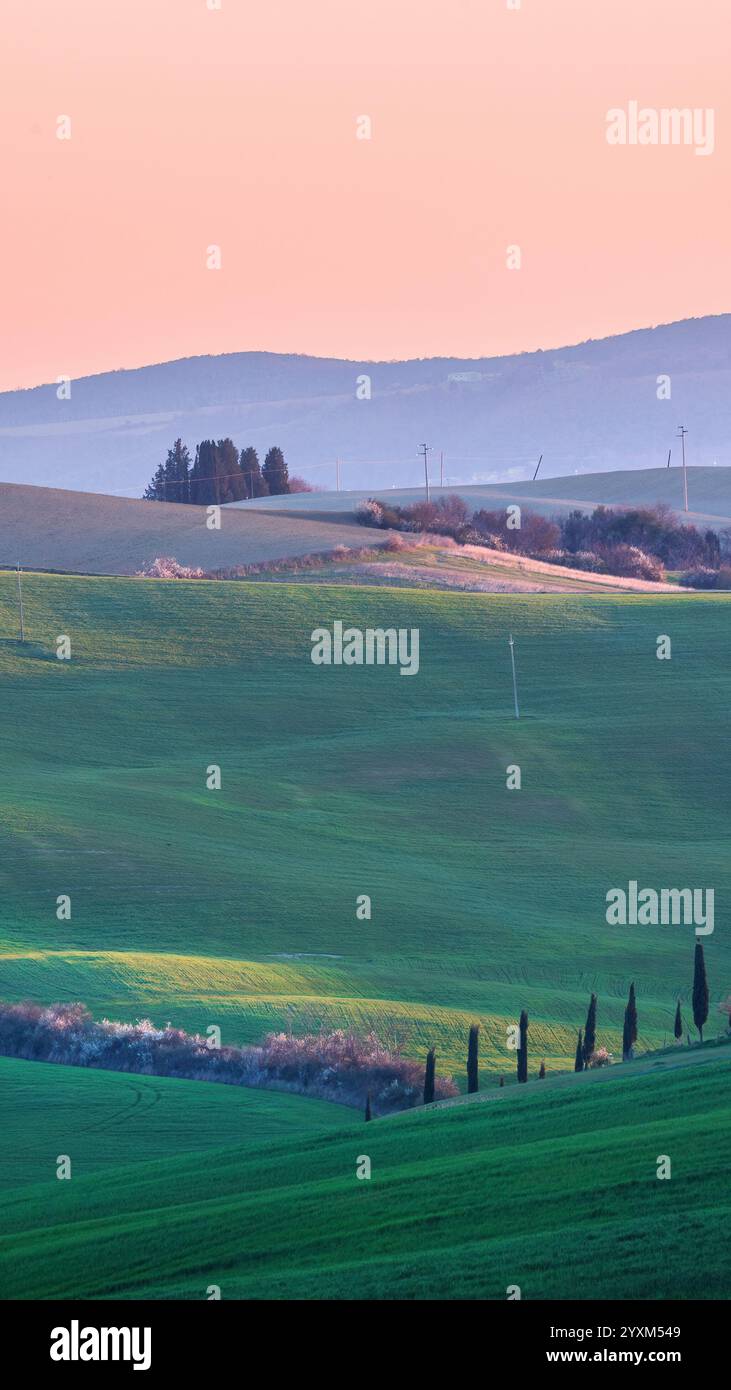 Rolling hills of Tuscany at sunrise, bathed in soft mist. A serene ...