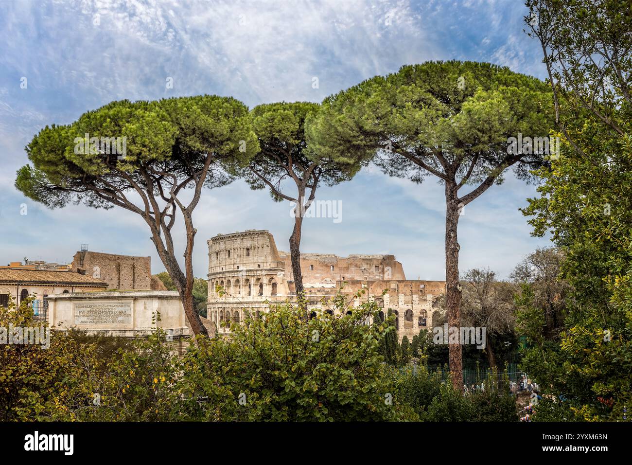Colosseum and trees hi-res stock photography and images - Alamy