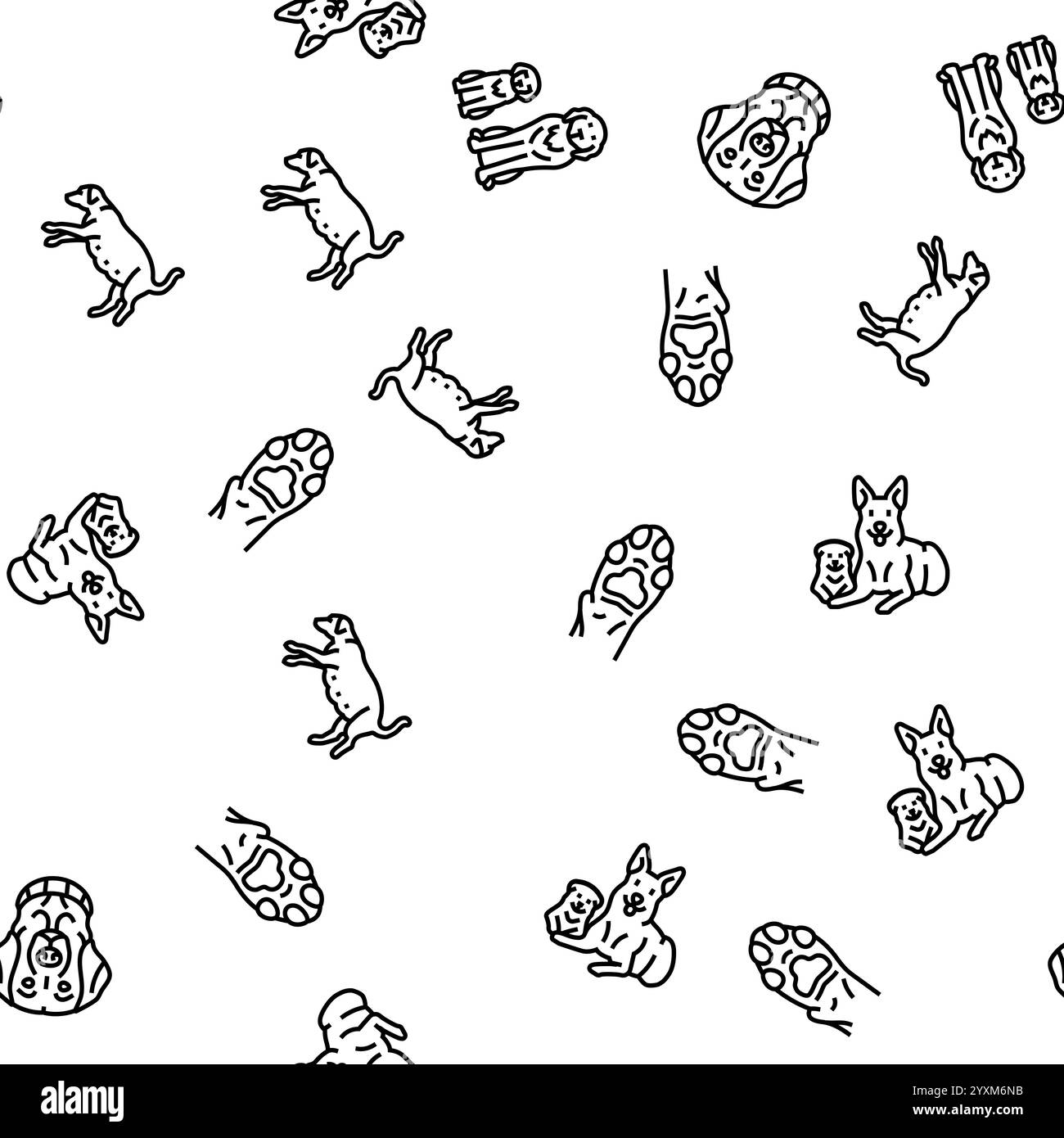 dog breeding genetics pedigree seamless pattern vector Stock Vector ...