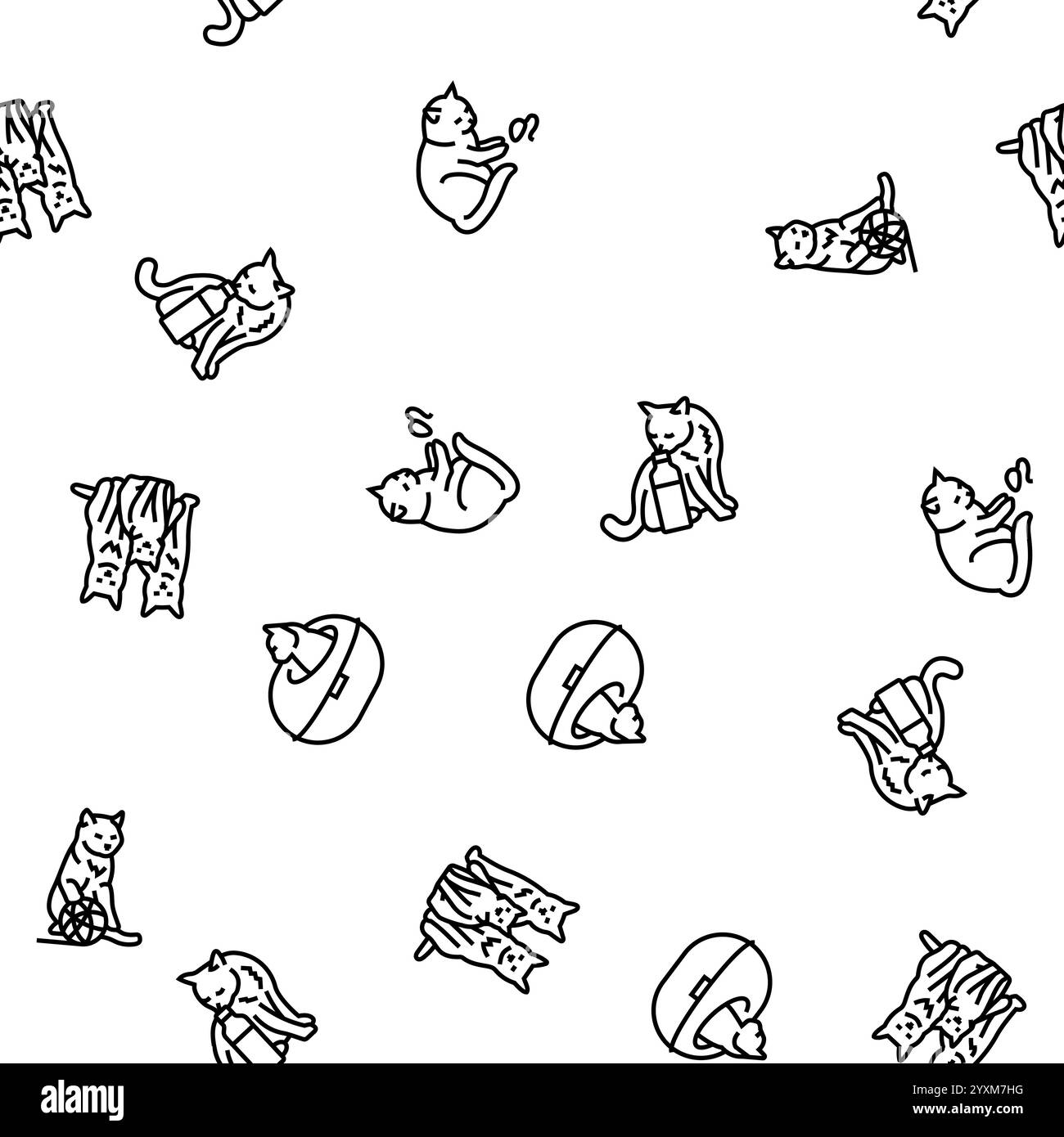 cat breeding genetics cattery seamless pattern vector Stock Vector ...