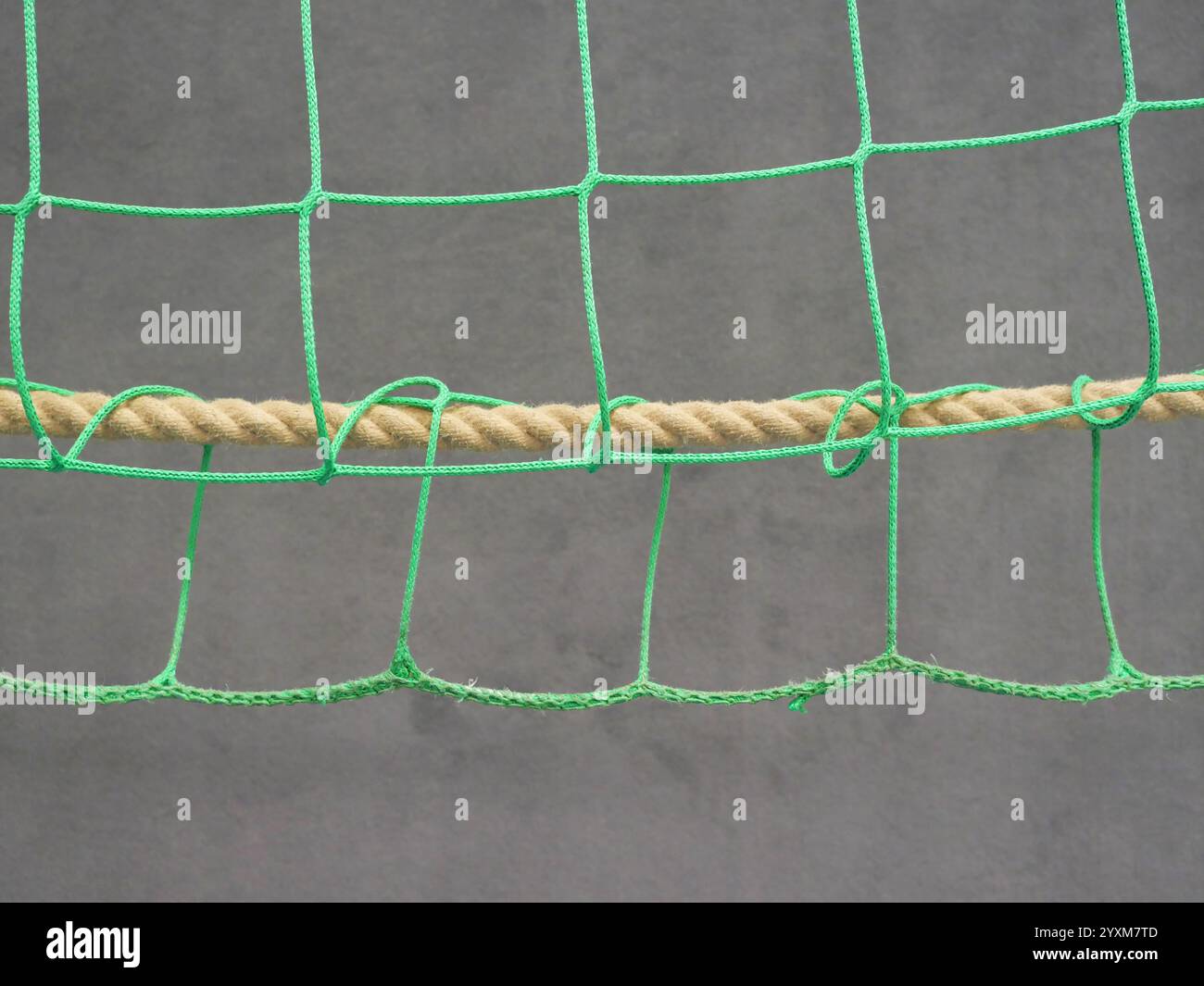 Ball protection net in a sports hall: The green, coarse-meshed net is ...