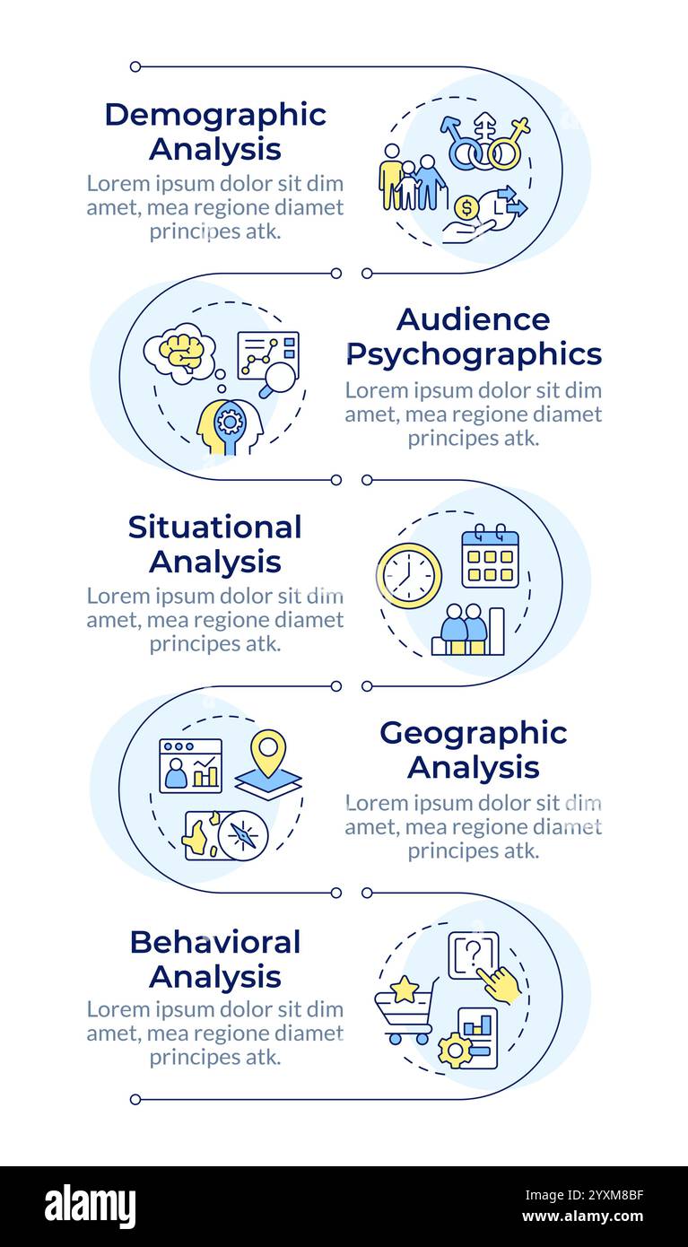 Audience analysis infographic vertical sequence Stock Vector Image & Art - Alamy