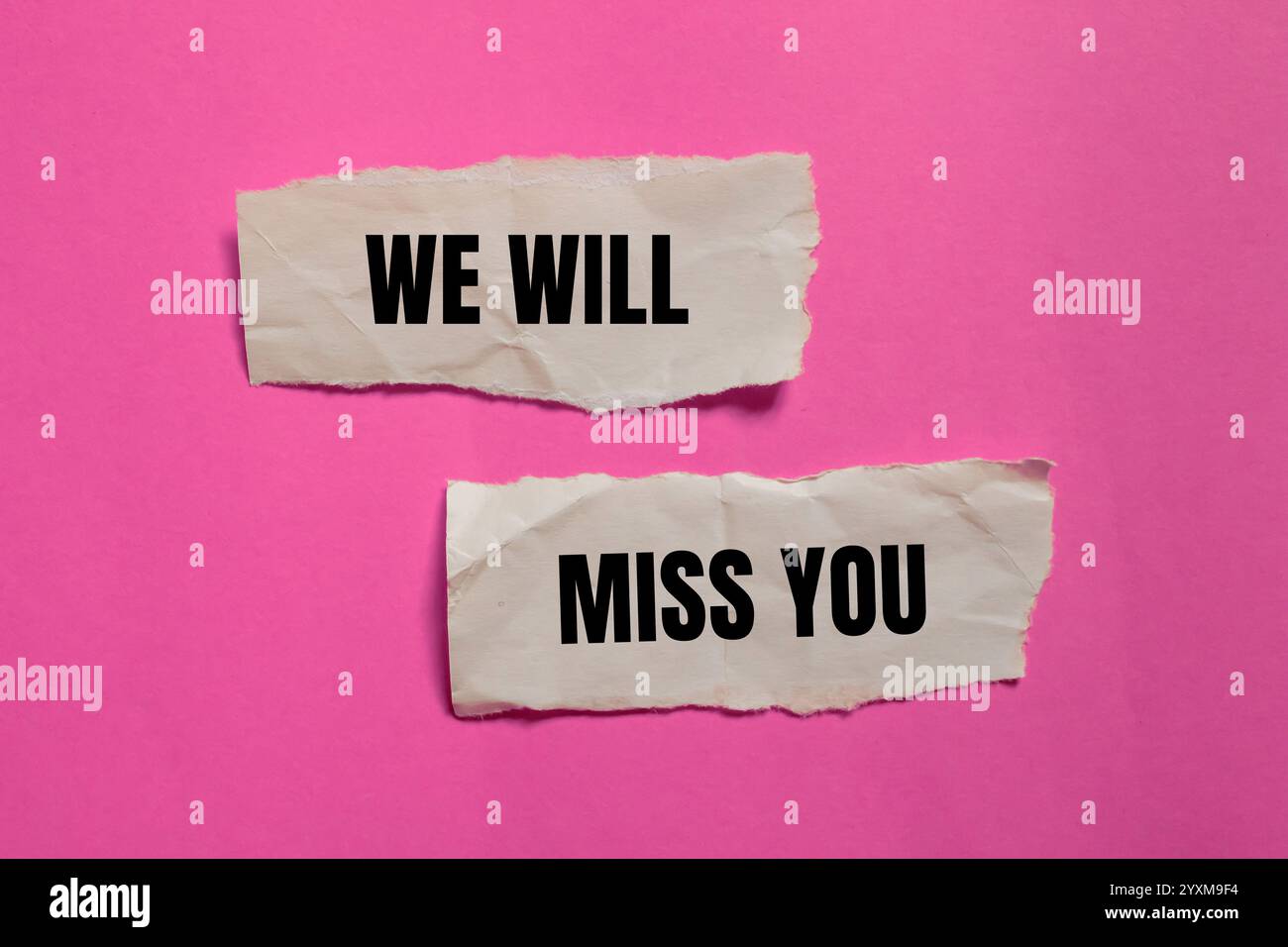 We will miss you message written on ripped paper pieces with pink background. Conceptual we will ...