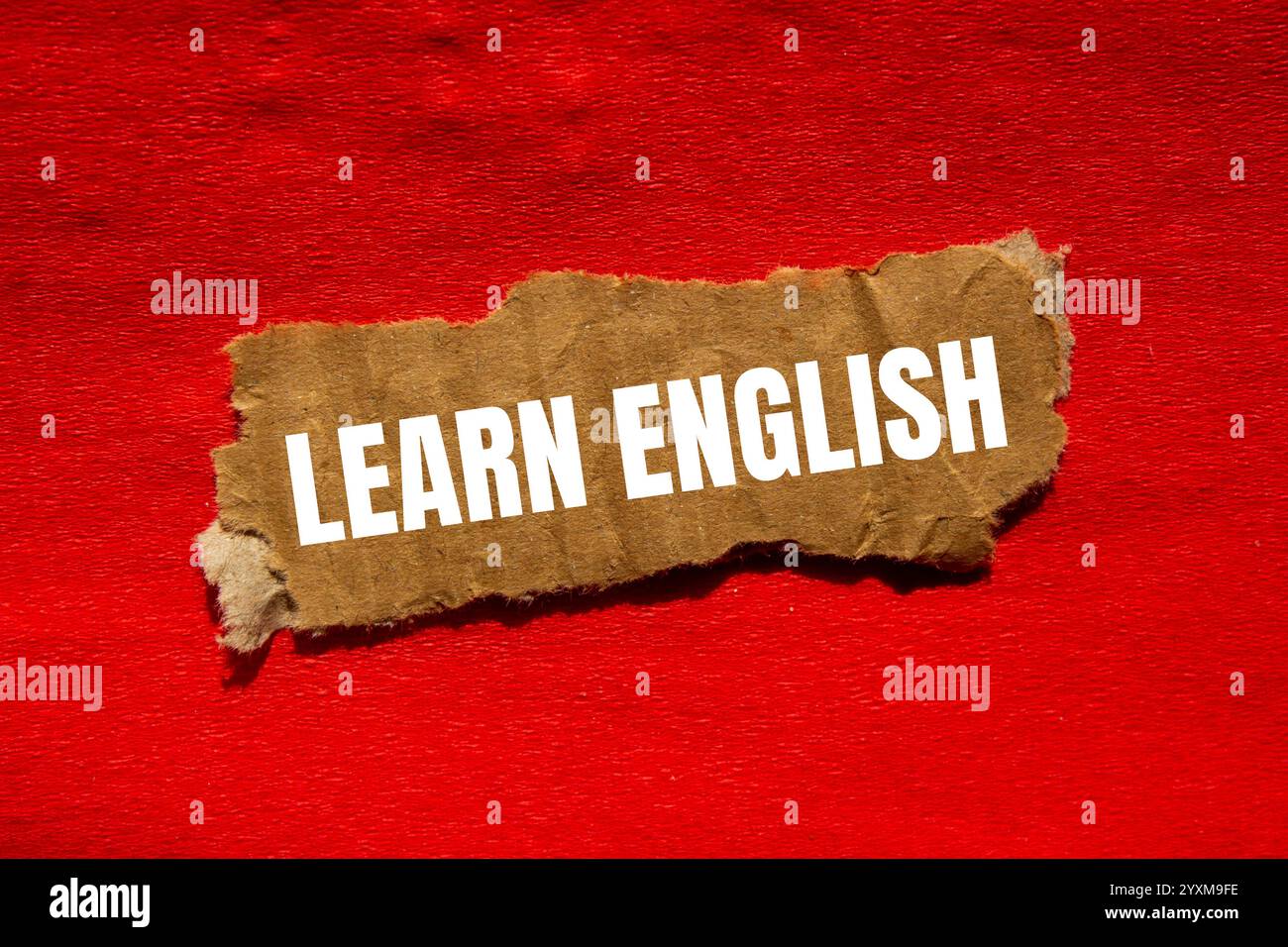 Learn english message written on ripped torn cardbaord paper piece with red background ...