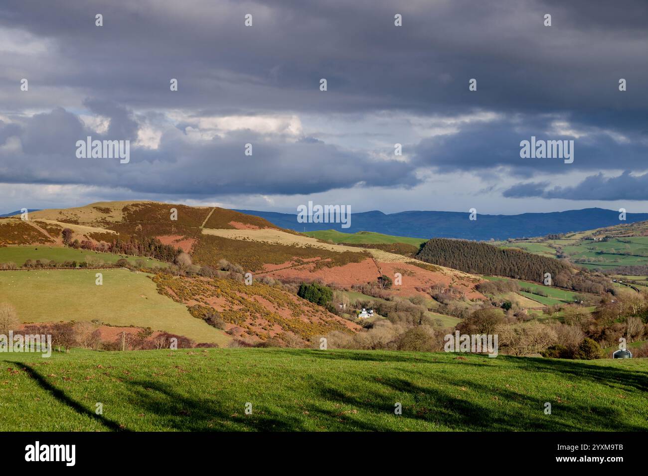 Moors farm rural hi-res stock photography and images - Alamy