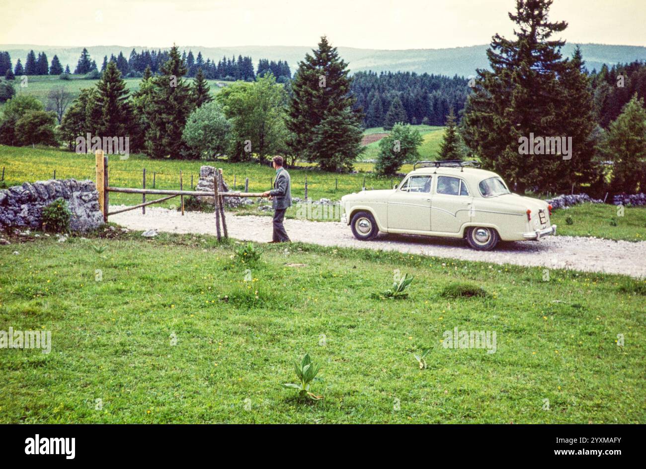 Austin Cambridge A55 car with British GB registration plates on farm ...