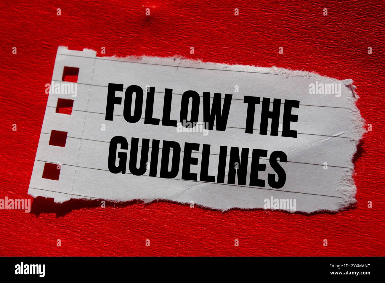 Follow the guidelines message written on ripped torn paper piece with ...