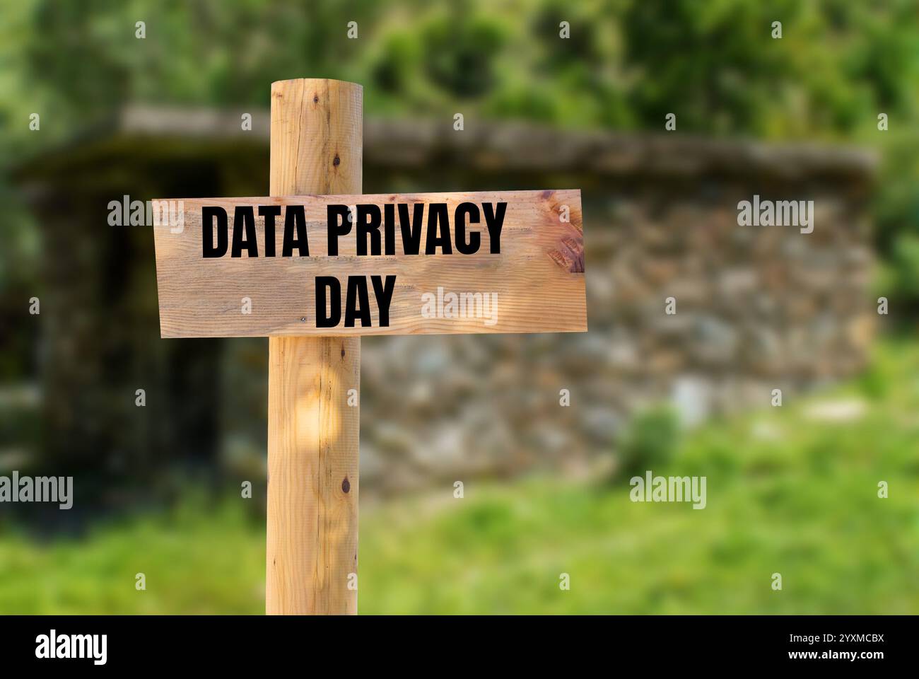 Data privacy day message written on wooden sign with blurry nature ...