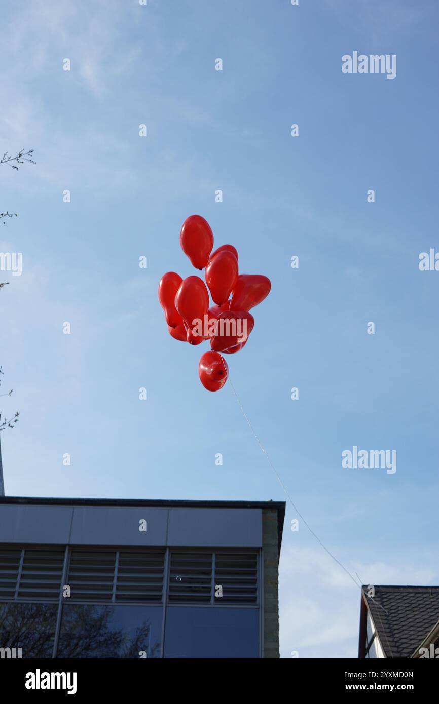 Beautiful colored balloons flying in hi-res stock photography and ...