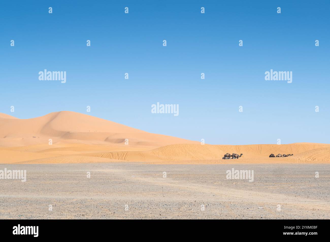 Stunning panorama of the Moroccan desert near Merzouga. You can see the ...