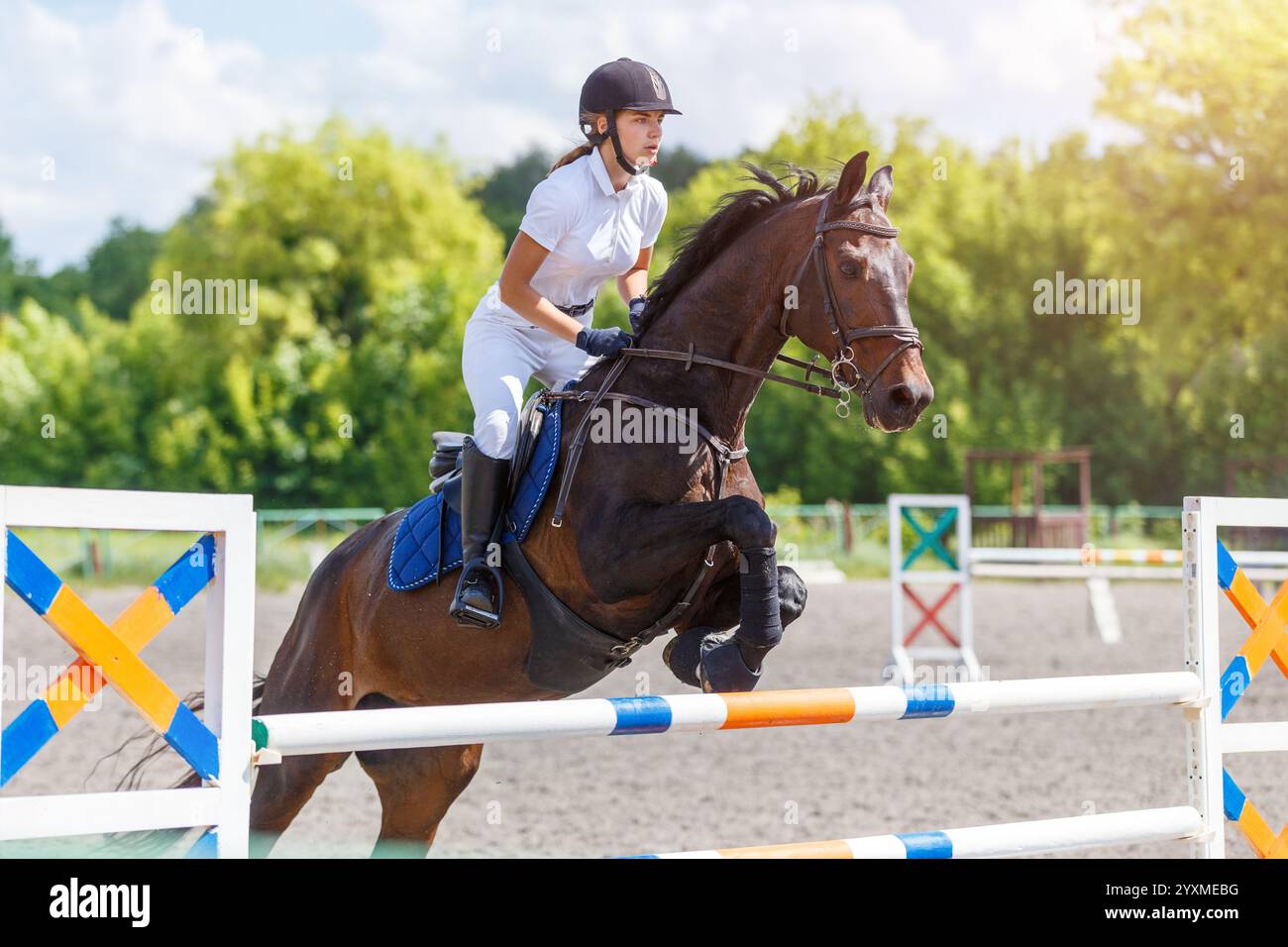 Equestrian show jumping competition with rider and horse in sunny arena ...