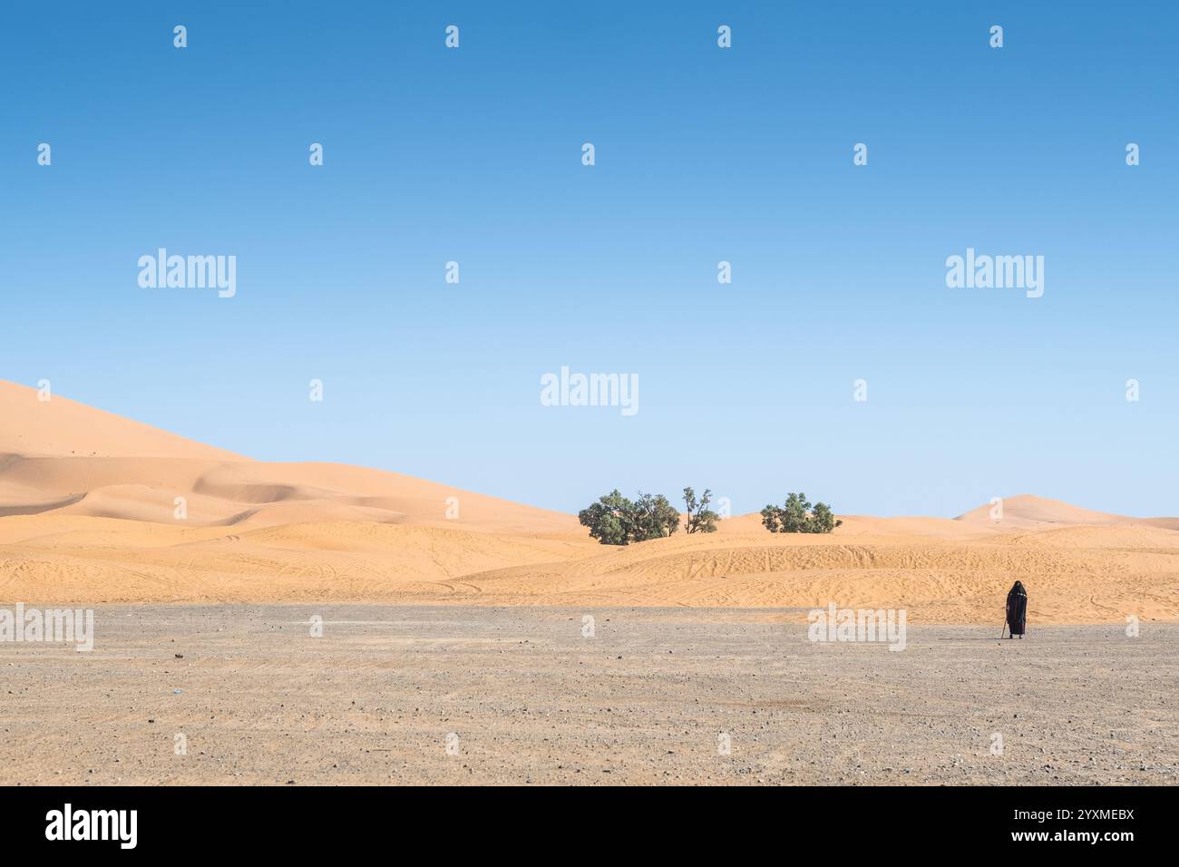 Stunning panorama of the Moroccan desert near Merzouga. You can see the ...