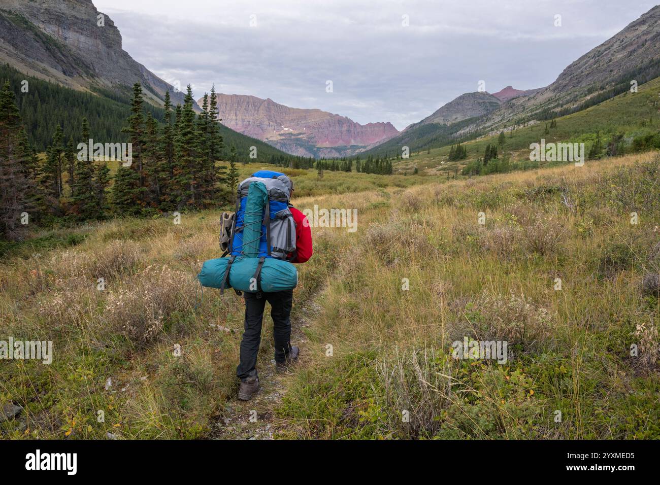 Hiking to Red Gap Pass, Glacier National Park, Montana, USA Stock Photo ...