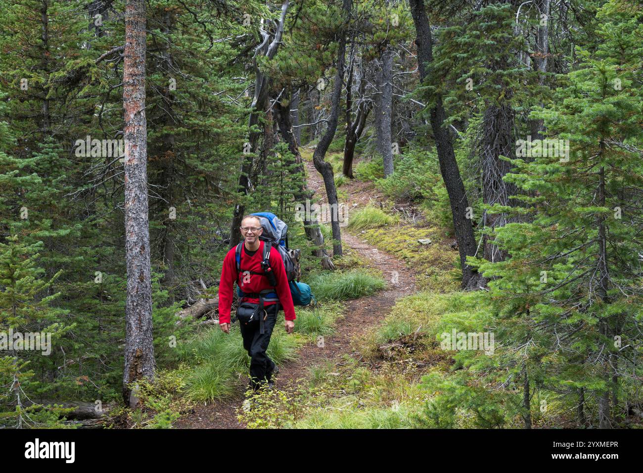 Hiking to Red Gap Pass, Glacier National Park, Montana, USA Stock Photo ...