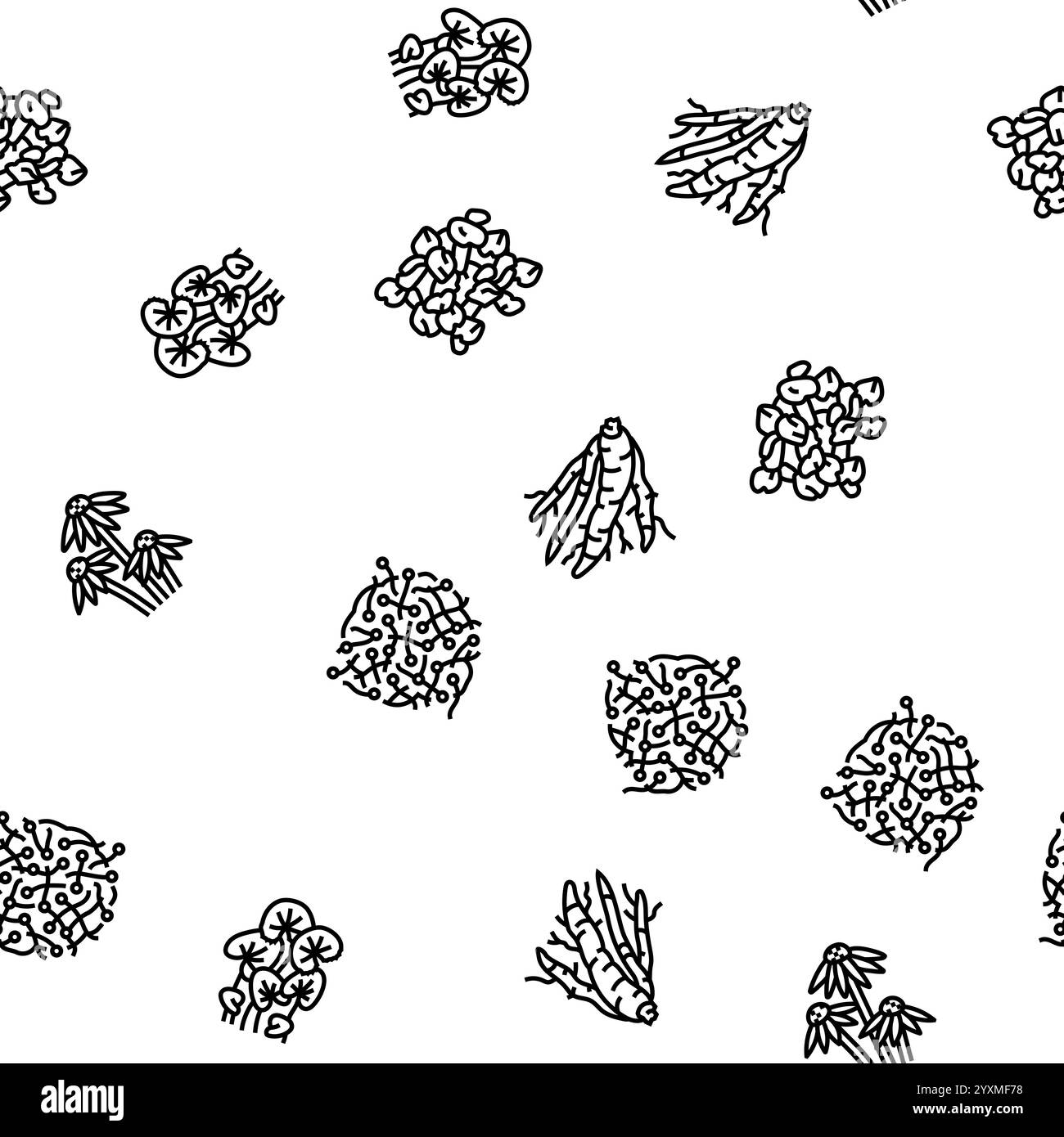 ayurvedic herbs medicine health seamless pattern vector Stock Vector ...