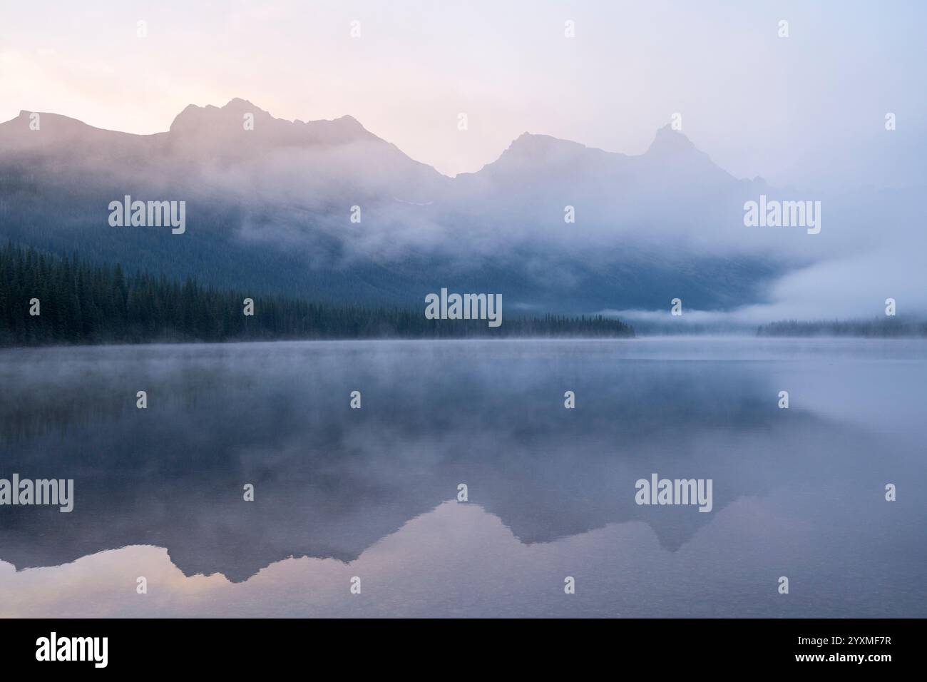 Misty dawn, Elizabeth Lake, Glacier National Park, Montana, USA Stock ...