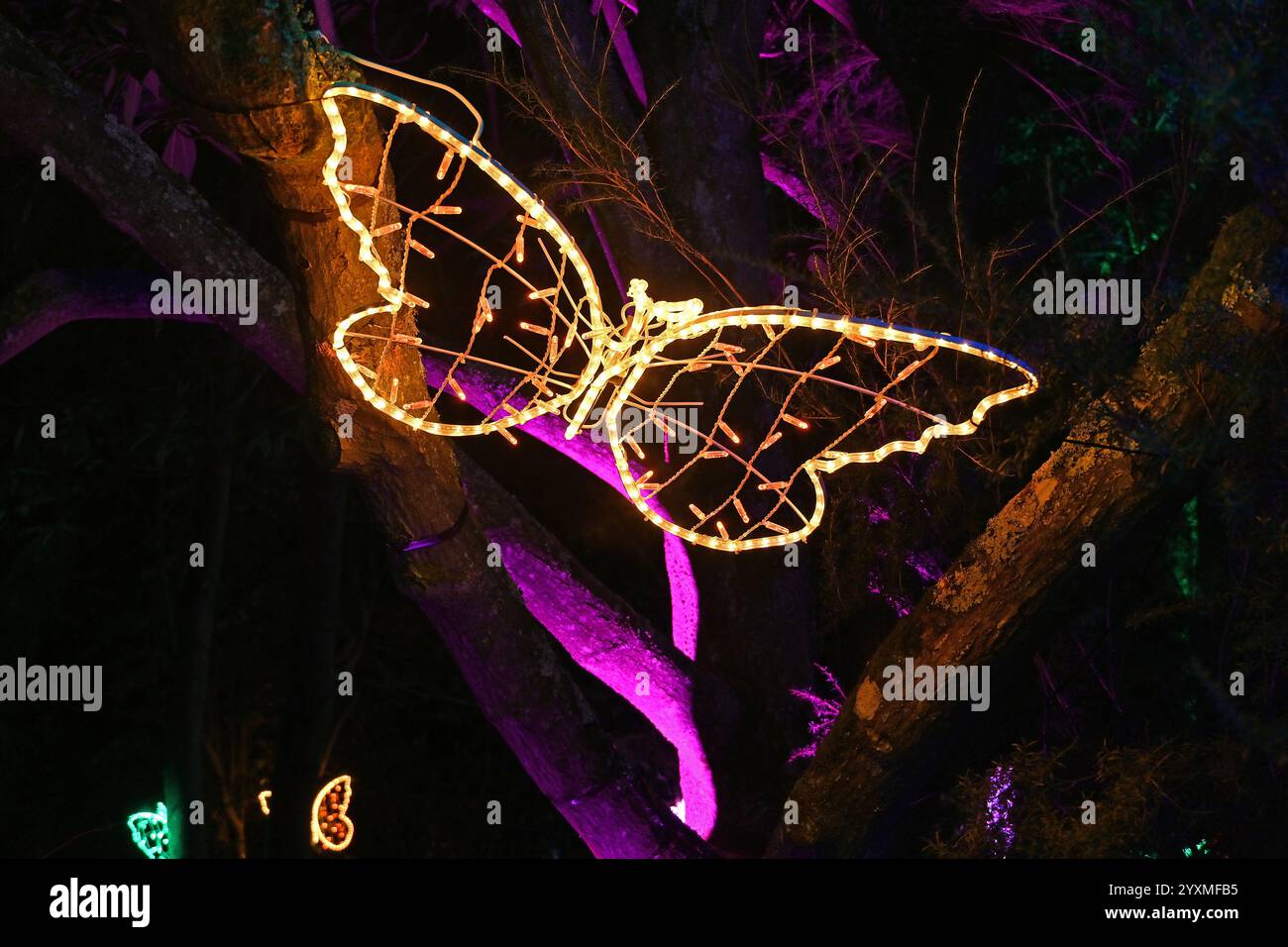 Led butterfly display hi-res stock photography and images - Alamy