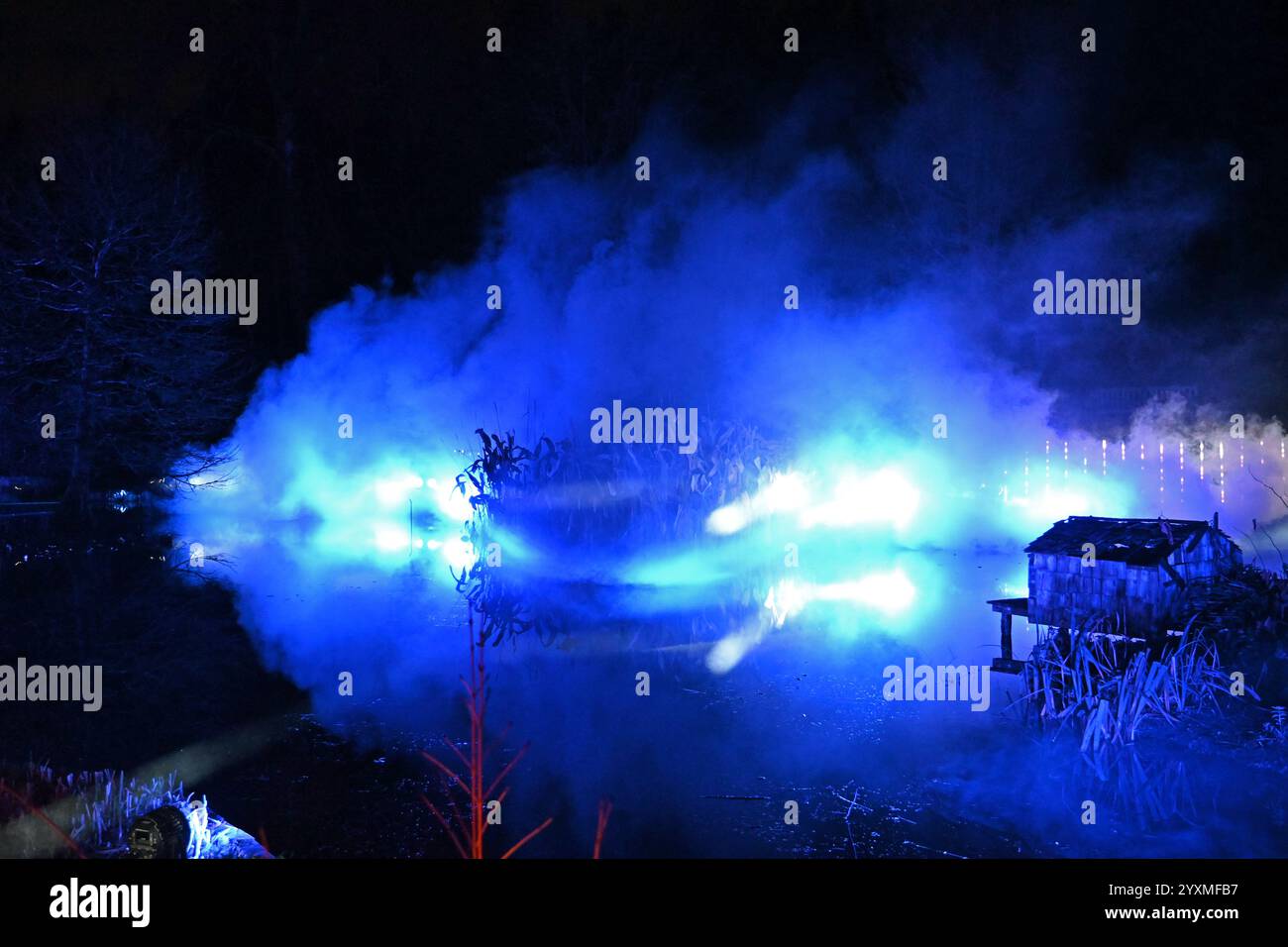 Christmas Light Trail Romsey Hilliers gardens Stock Photo - Alamy