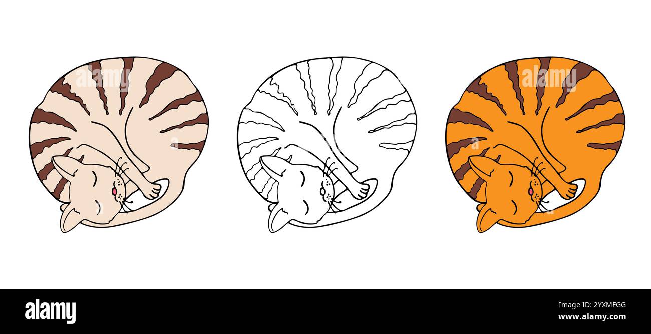 Cat sleeping curled up Stock Vector Image & Art - Alamy