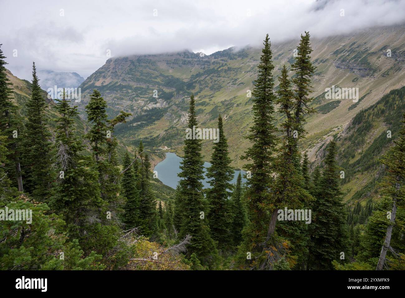 Stoney Indian Lake seen from Stoney Indian Pass, Glacier National Park ...