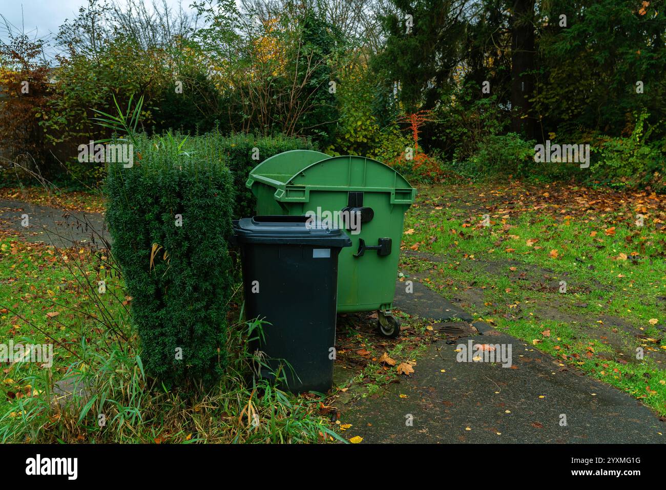 An overgrown garden area features a green trash bin and a black waste ...