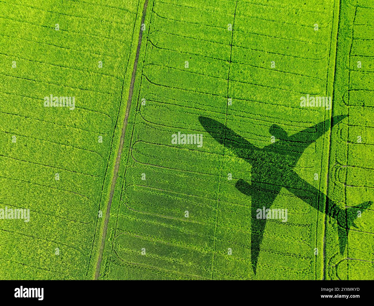 Shadow airplane flying above green field. Sustainable fuel. Biofuel in ...