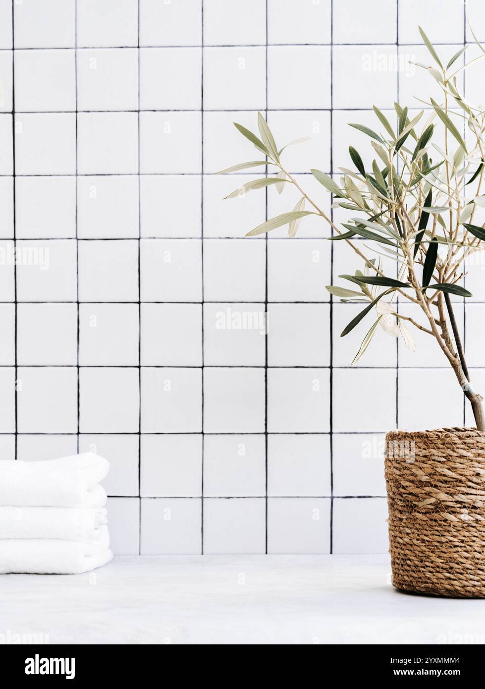 A small olive tree growing in a pot and a stack of white towels. A ...