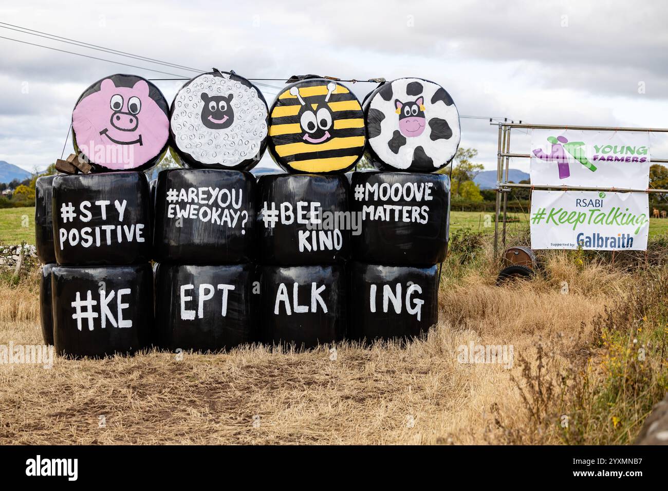 farm-themed hay bale art display to raise awareness of mental health ...