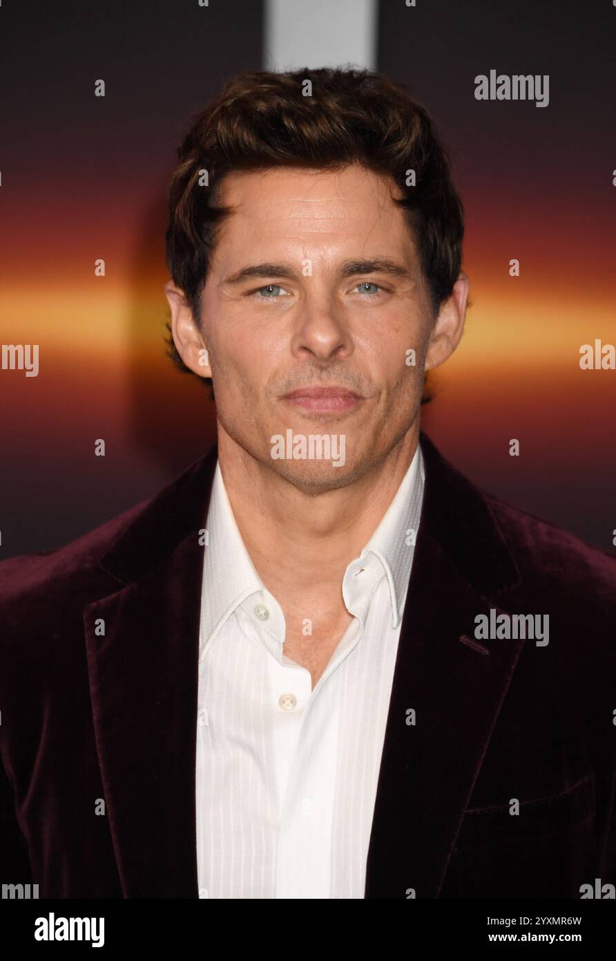 Hollywood, Ca. 16th Dec, 2024. James Marsden at the Los Angeles ...