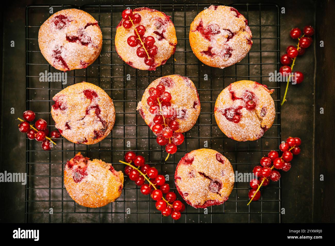 Homemade red currant muffins Stock Photo - Alamy