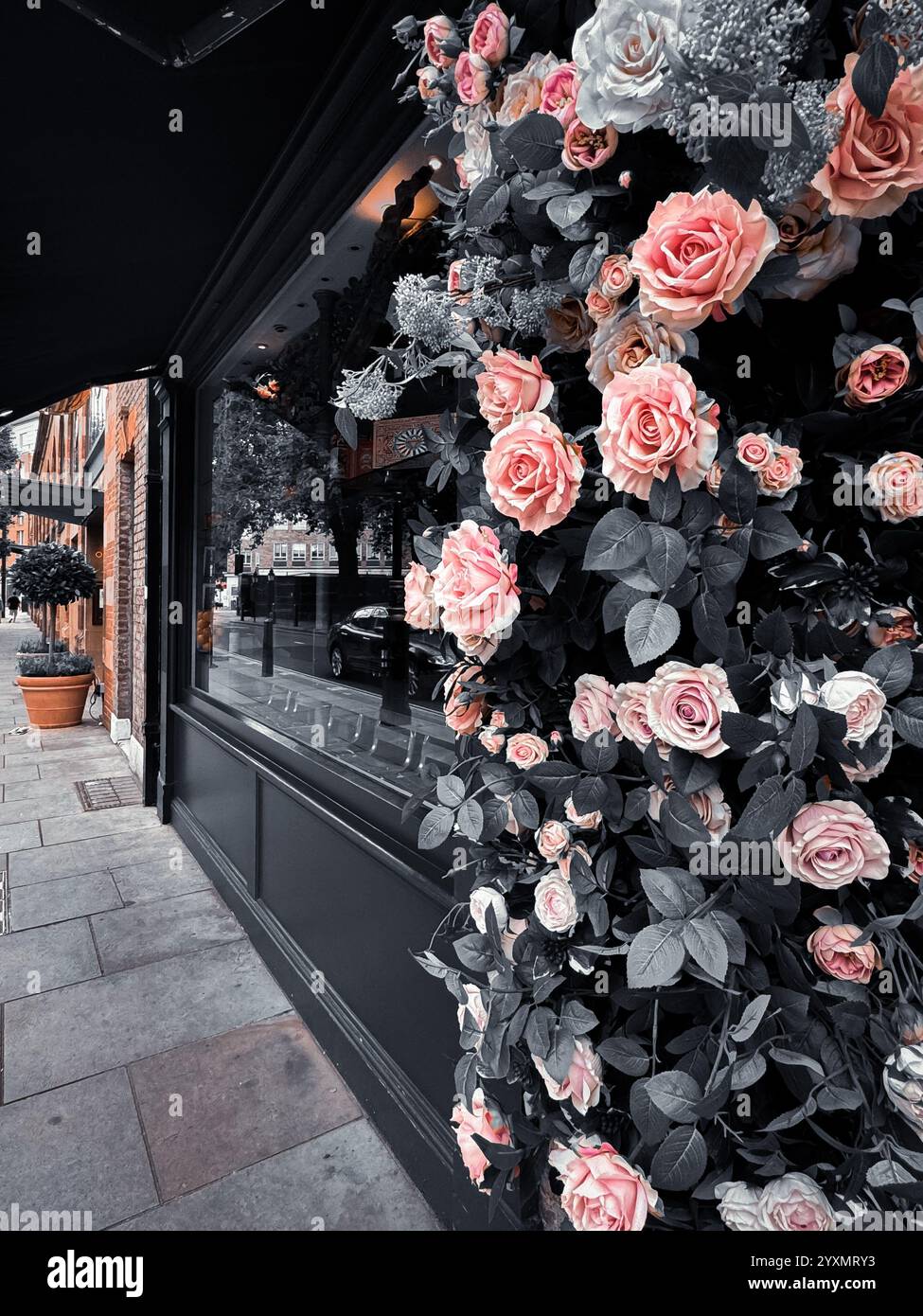 Beaumont street london hi-res stock photography and images - Alamy