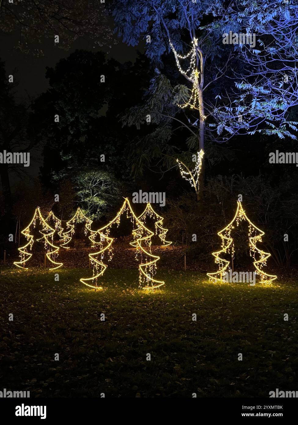 Beautiful christmas lighting display hi-res stock photography and ...