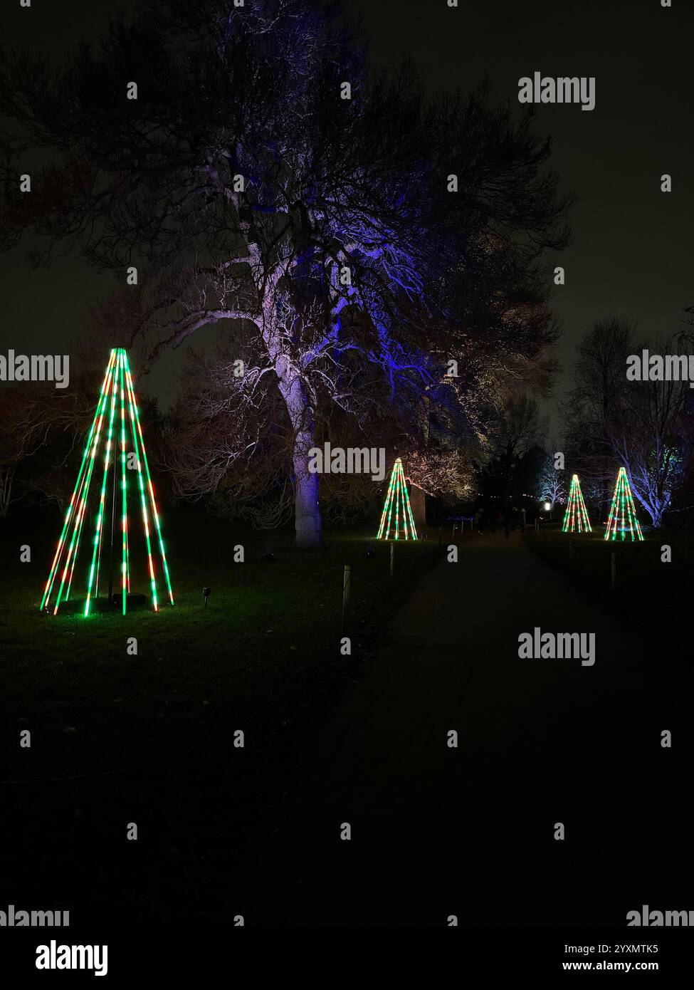 Beautiful display christmas lights hi-res stock photography and images ...