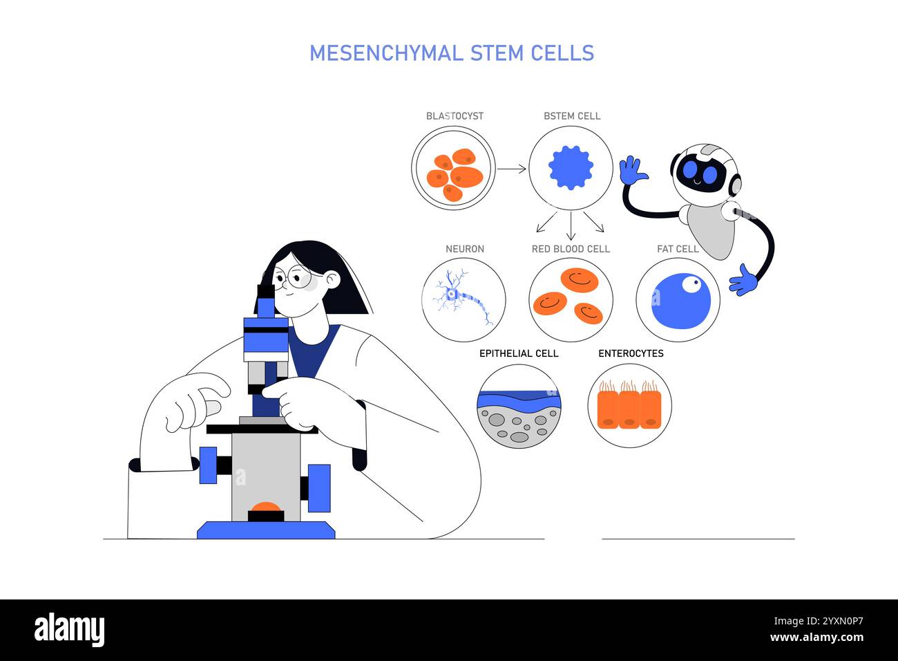 Mesenchymal stem cells concept. Scientist examining stem cells ... Mesenchymal stem cells concept. Scientist examining stem cells ...
