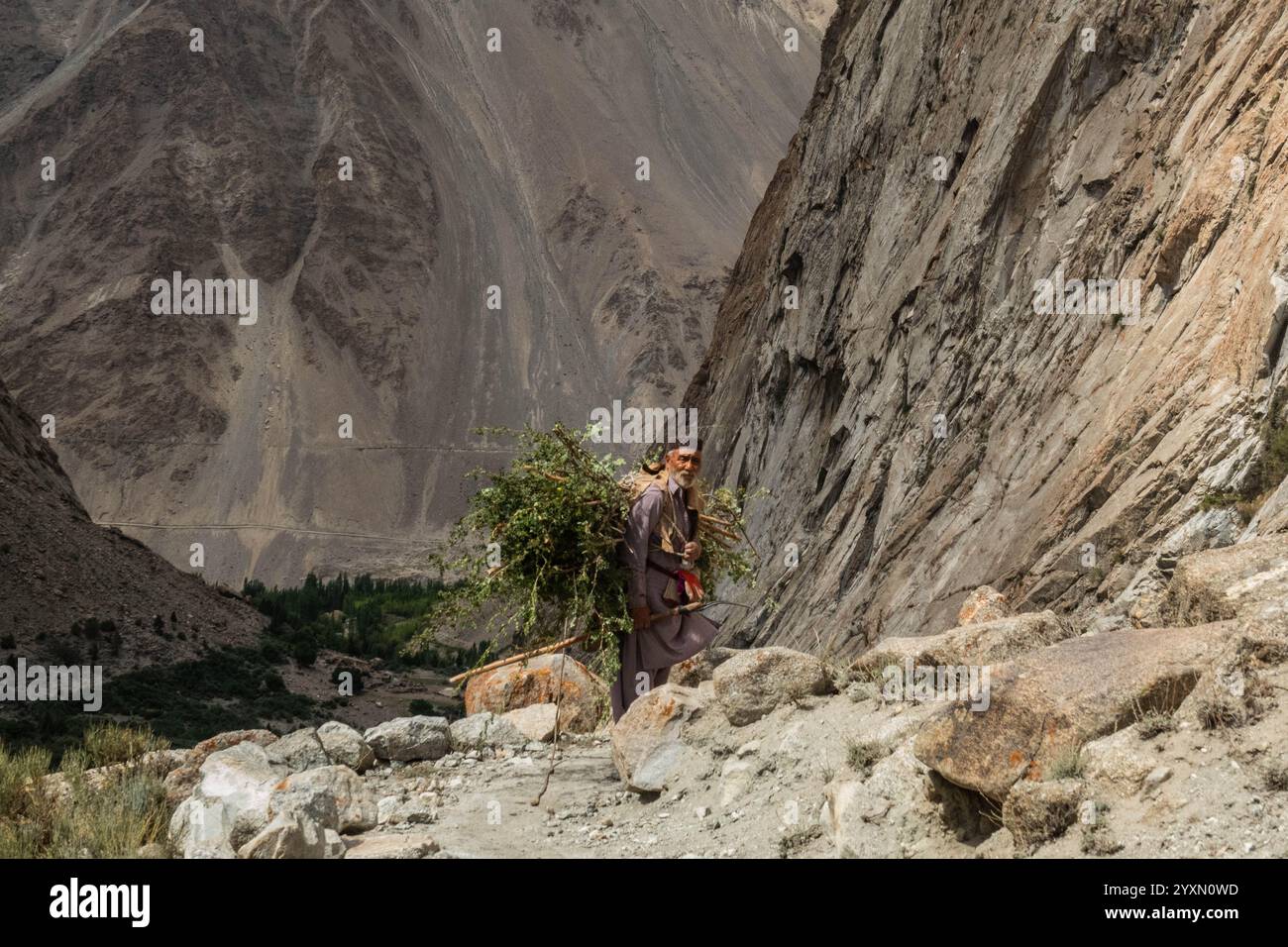Man carrying a wood bundle down the Nangma Valley, Kanday, Baltistan ...