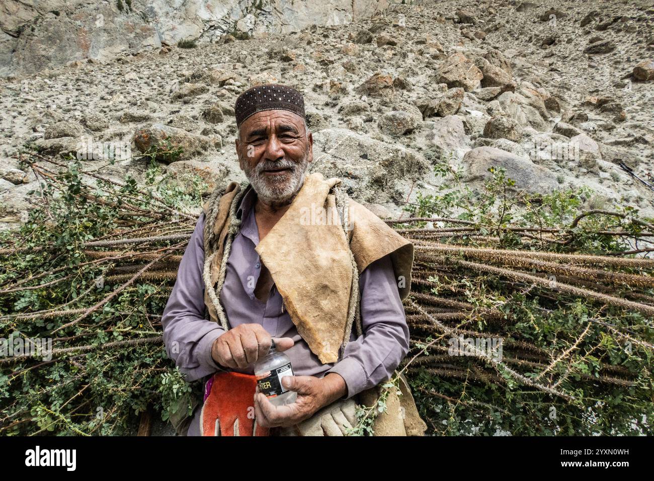 Man carrying a wood bundle down the Nangma Valley, Kanday, Baltistan ...