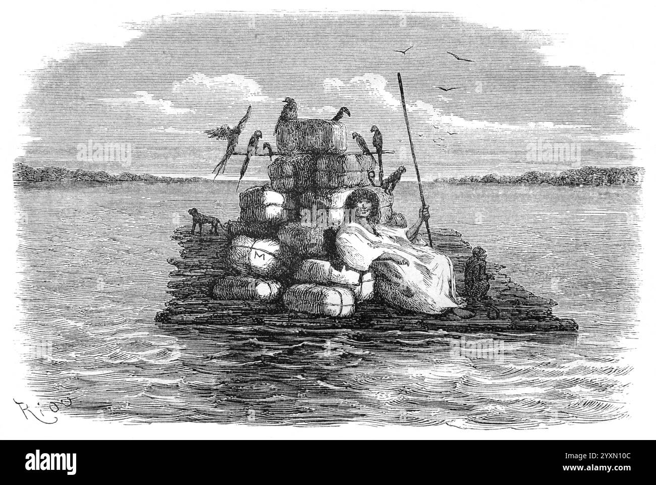 Indian river wildlife Black and White Stock Photos & Images - Alamy