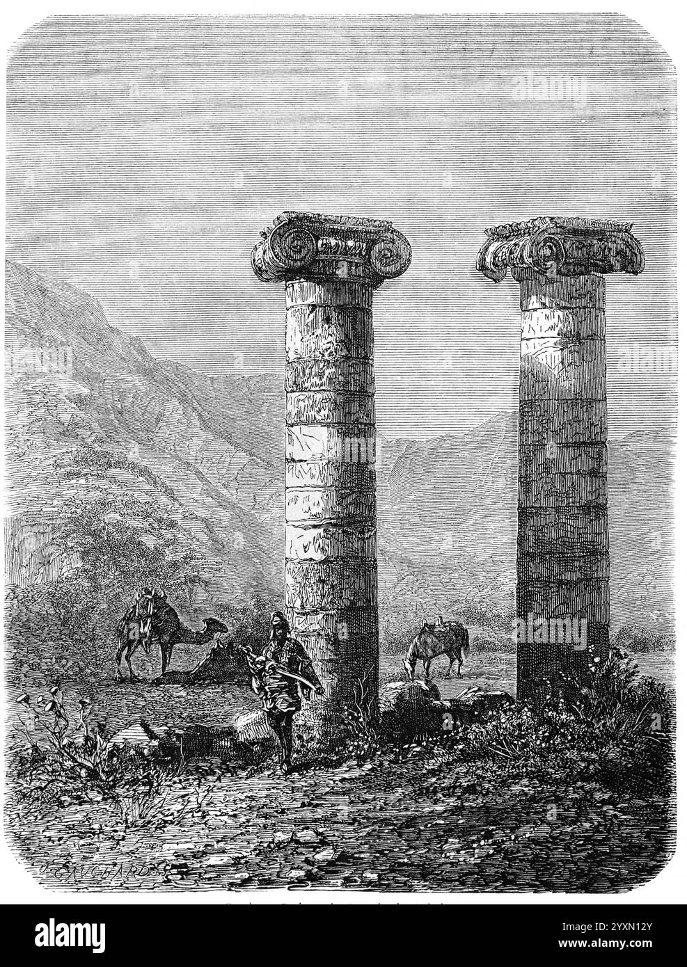 Greco roman columns Cut Out Stock Images & Pictures - Alamy