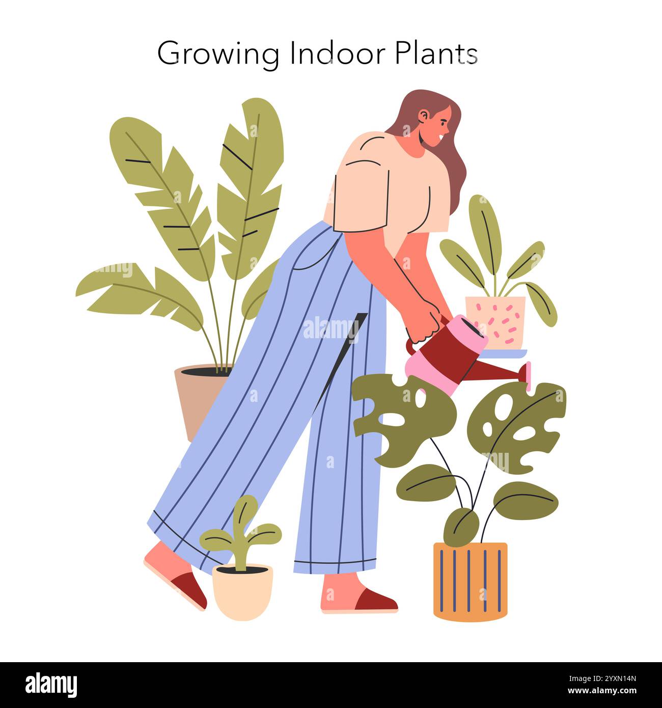 Indoor Plant Care concept. A woman engages in her home gardening hobby ...