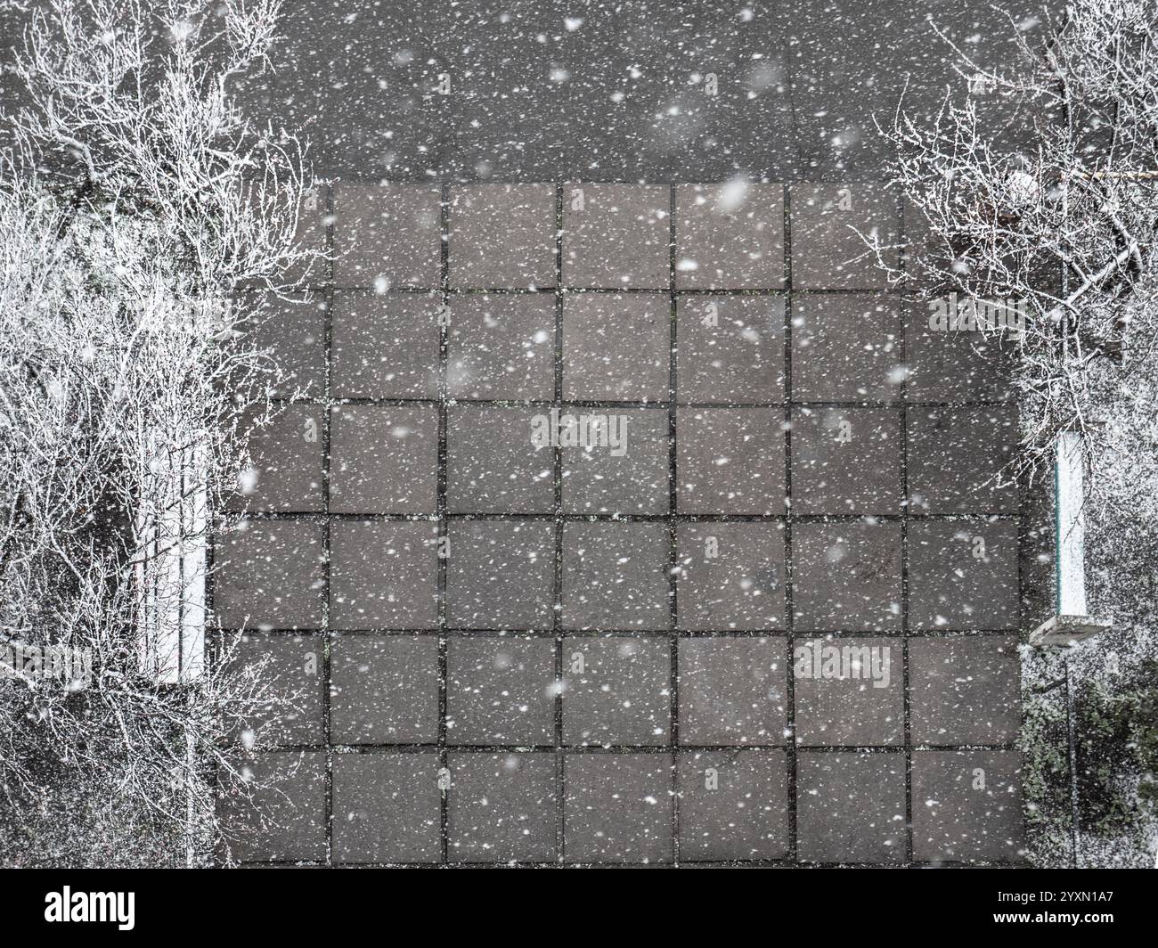 Large fluffy snowflakes falling over square tiles, trees, benches at ...