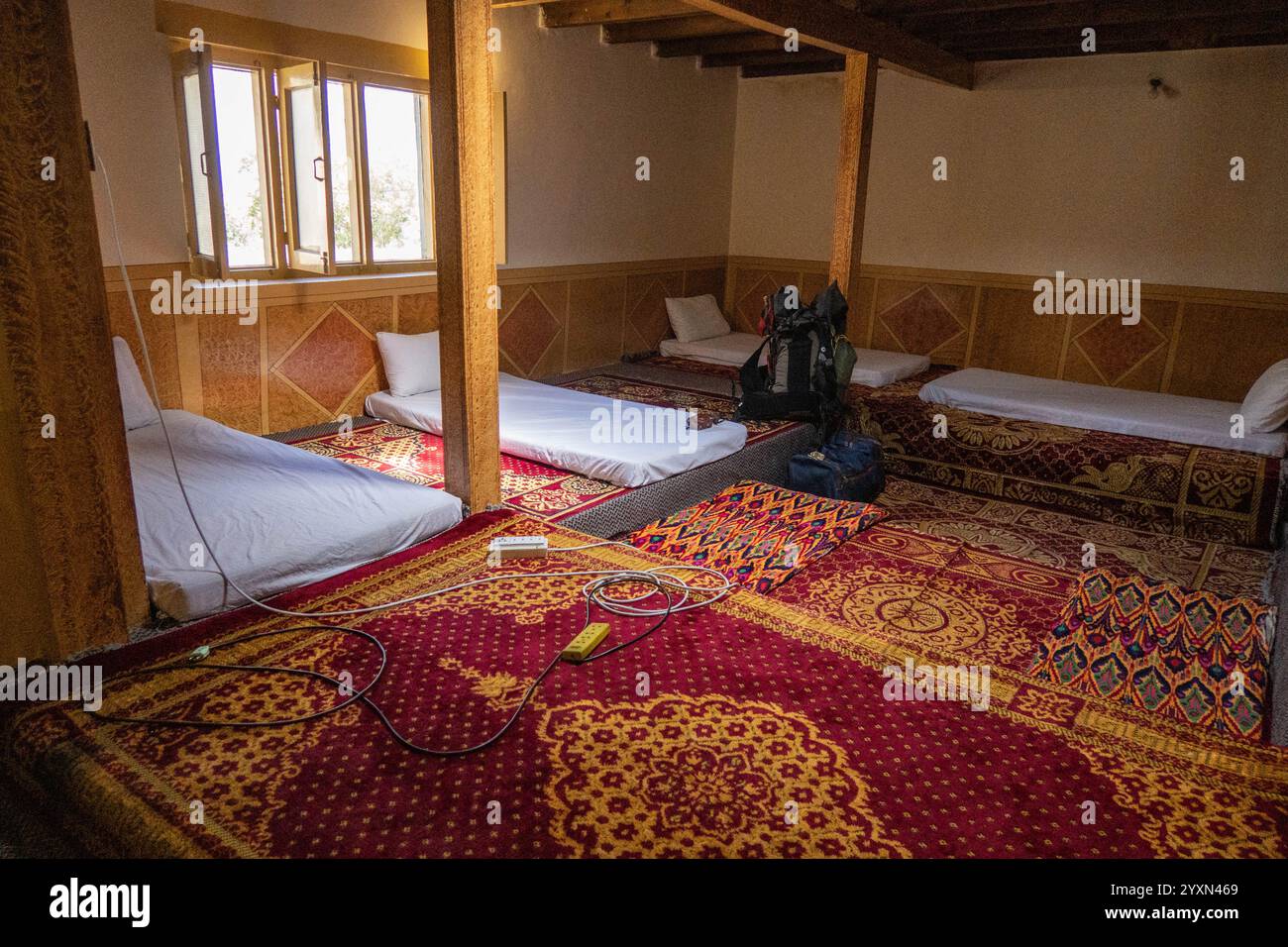 Pakistani woman in traditional dress hi-res stock photography and ...