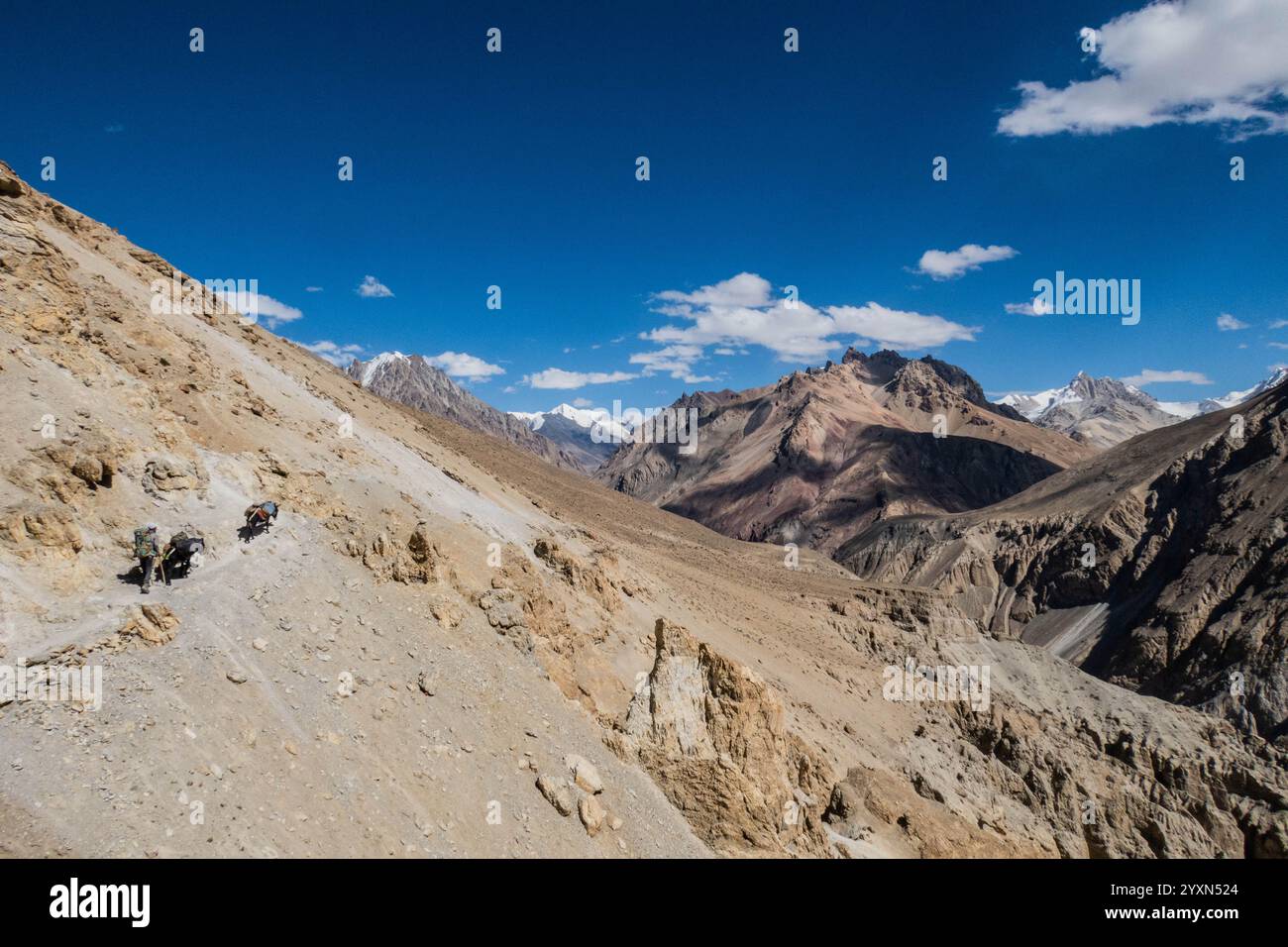 Loaded donkey on the Shimshal Pass trek, Shimshal, Gojal, Pakistan ...